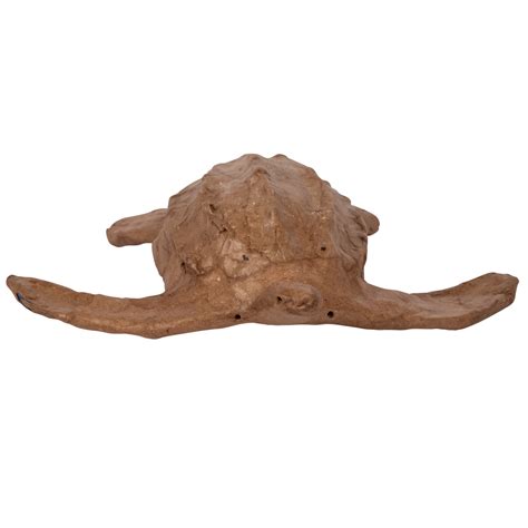 Paper Turtle Biodegradable Keepsake Urn Water Burial Urns