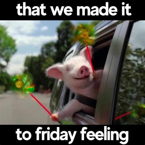 75 Funny Friday Memes That Will Have You Saying T