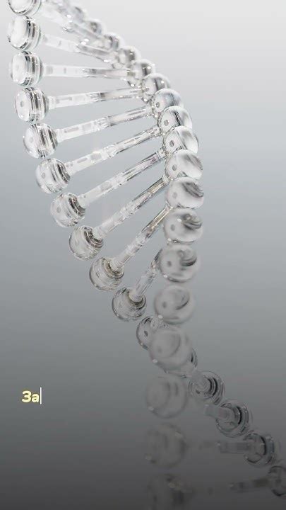 Что нужно знать о ДНК тесте на отцовство в Израиле израиль репатриация днктест днк Youtube