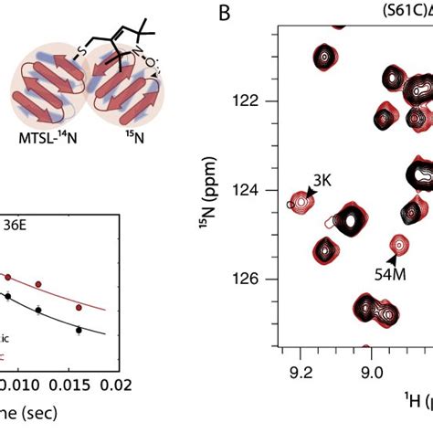 Principles Of Paramagnetic Relaxation Enhancement A Types Of Pre Download Scientific Diagram
