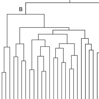 Group Average UPGMA Clustering Tree Based On Gower Download Scientific Diagram