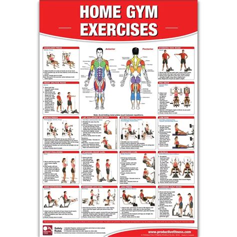 Muscle Chart With Exercises