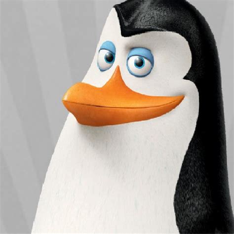 Create Meme Rico The Penguins Of Madagascar Penguins Of Madagascar