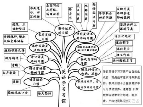 最全总结初中英语知识树状图 知乎