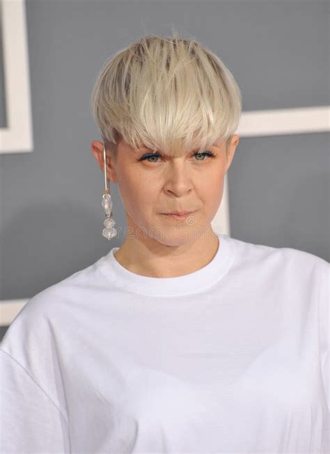 Robyn Redaktionelles Stockfoto Bild Von Robyn Paul 23476018