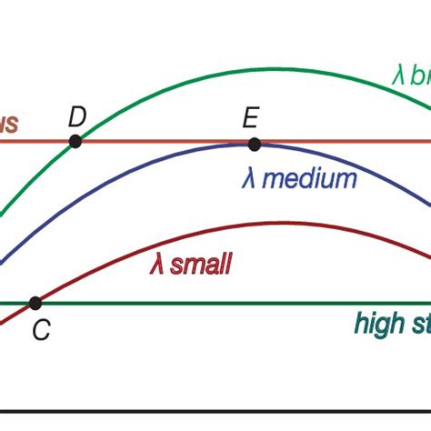 Possible Stability Scenarios Download Scientific Diagram