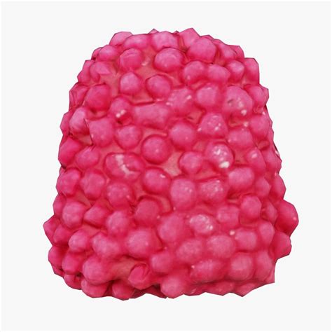 Raspberry Candy 3d Model Download Dessert On