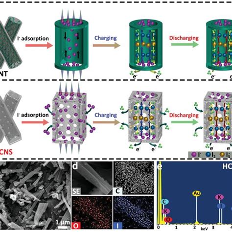 Schematic Illustration To Obtain Inof‐1 Derived Hierarchically Porous Download Scientific