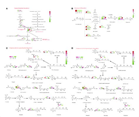 Degs Involved In Terpenoid Biosynthesis Pathways Athe Degs Enriched