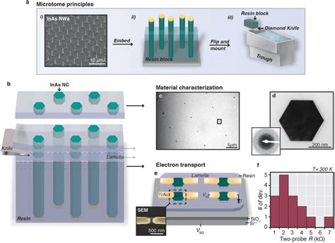 Scalable Nanocrystal Platform A Illustrated Microtome Principles Sem