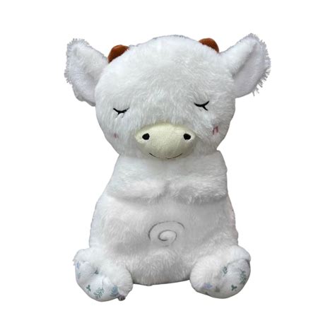 Ruig Soothing Koala Bear The Relief Koala Bear Breathing Breathing