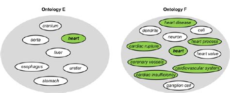 3 Sets Of Concepts For Two Example Ontologies Download Scientific Diagram