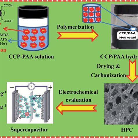Schematic Representation For The Formation Of Hpc Ccppaa Download