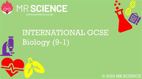 Igcse Biology Edexcel 9 1 Genetic Modification Pdf