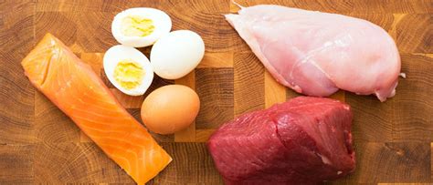 Making Protein Digestibility Testing Easier To Swallow Medallion Labs