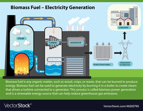 Biomass Fuel Electricity Generation Diagram Vector Image