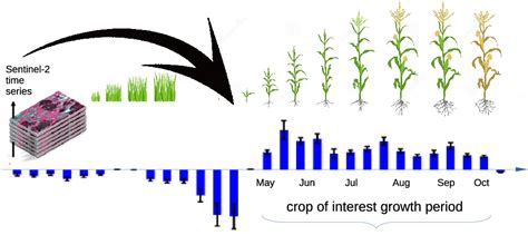 Figure 1 From Sentinel 2 Time Series Analysis With 3d Feature Pyramid Network And Time Domain