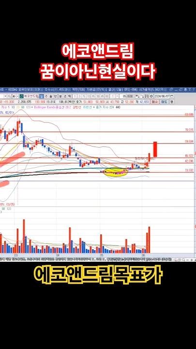 에코앤드림 이제시작이다 50프로수익은 꿈이아니라 현금이다 에코엔드림 에코앤드림수익 에코앤드림목표가 이차전지소재주 이차전지소재 에코앤드림매도가 에코앤드림매수