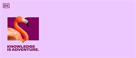 Beginners Step By Step Coding Course Learn Computer Programming The Easy Way Dk Complete