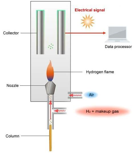 Fid Detector Stands For Flame Ionization Detector This Detector Is