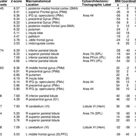 Pdf Neural Correlates Of Motor Imagery Action Observation And
