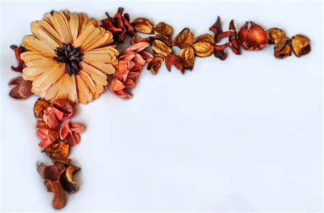 말린 꽃 잎과 나무 껍질 인사말 카드 초대장 달력템플릿의 다양한 프레임 텍스트의 여유 공간입니다 가을에 대한 스톡 사진 및 기타 이미지 Istock