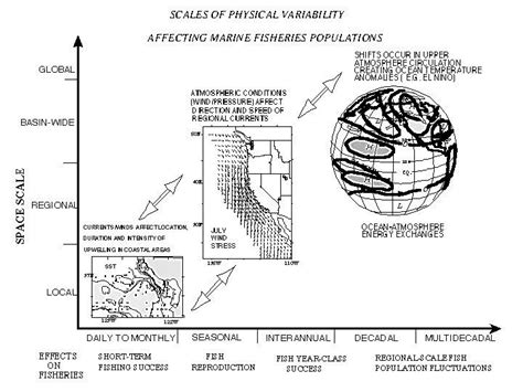 Scales Of Physical Variability Affecting Marine Resources Variability