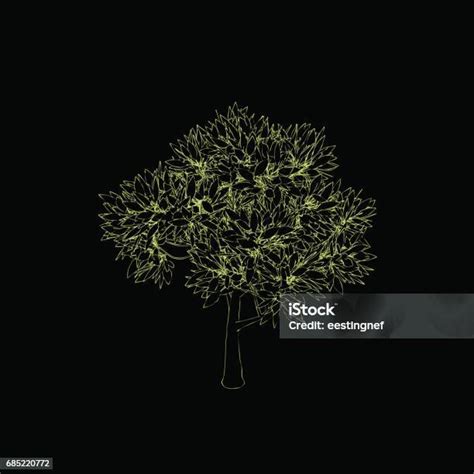 애플 트리입니다 검은 배경에 고립 벡터 윤곽선 그림입니다 0명에 대한 스톡 벡터 아트 및 기타 이미지 0명 검은색 벡터 Istock