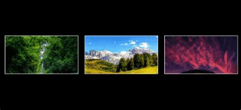 Bootstrap 4 Simple Image Overlay With Hover Effect Example