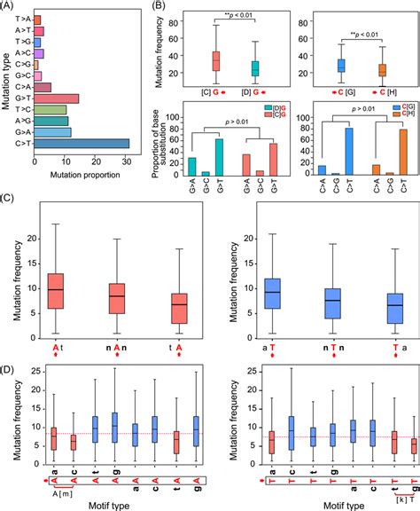 Mutation Spectra And Context Sequences A The Whole‐genome Mutation