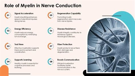 Top 10 Functional Design Powerpoint Presentation Templates In 2025