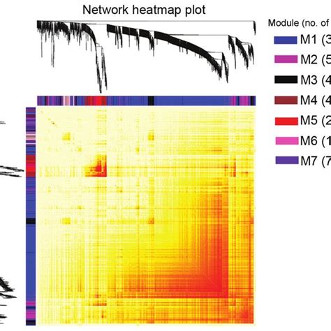 Interactions Between Genes In The Co Expression Modules The Different Download Scientific