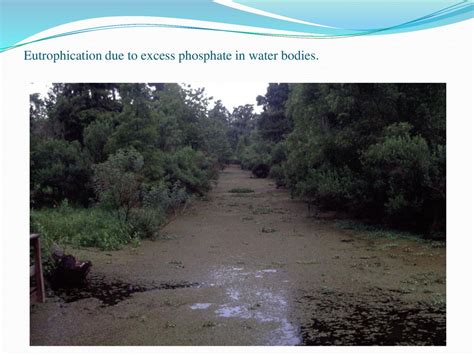 Phosphorous Cycle Ppt Download
