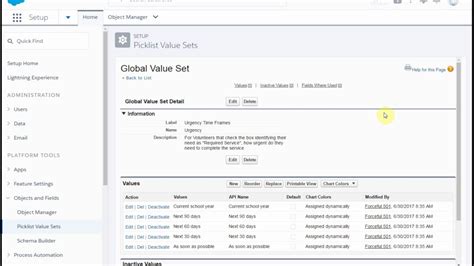 Salesforce Object Manager Adding New Picklist Youtube