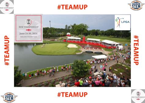 Teamup Teamup Saginaw Stem