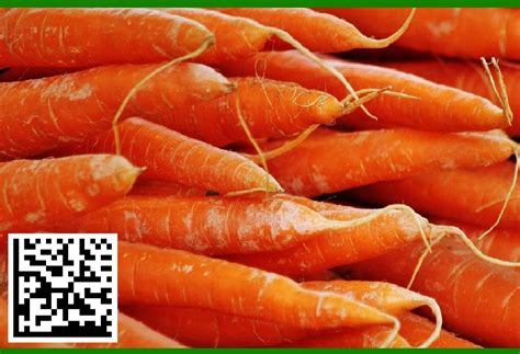 Barcode Technology Library The Food Industrys Data Matrix Barcode