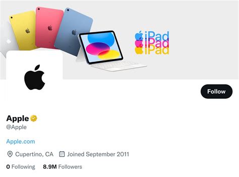 Twitter Header Gallery Brandbird App