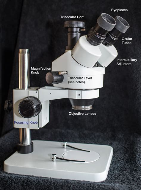 Trinocular Microscope Microscope At Adelina Simmons Blog