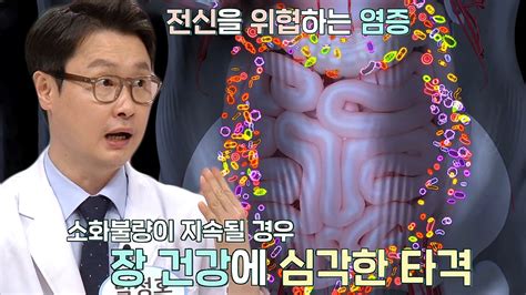 소화불량으로 인한 염증이 불러오는 전신 질환 똑똑똑고민상담소 네이버 Tv