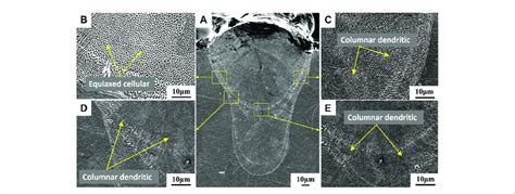 A Microstructure Of 316 L Molten Pool B E Magnified Microstructure Download Scientific