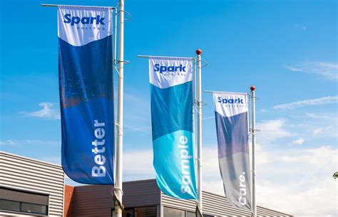 Verantwoordelijk Voor De Commerciële Activiteiten Van Spark