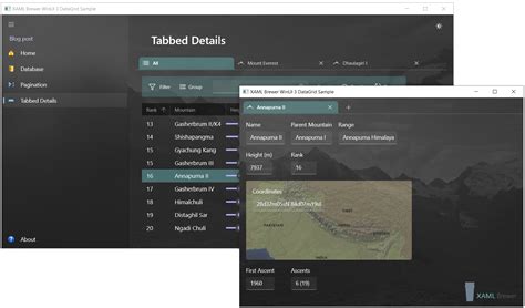 Github Xamlbrewerxamlbrewerwinui3datagridsample A Winui 3 Desktop App Demonstrating The