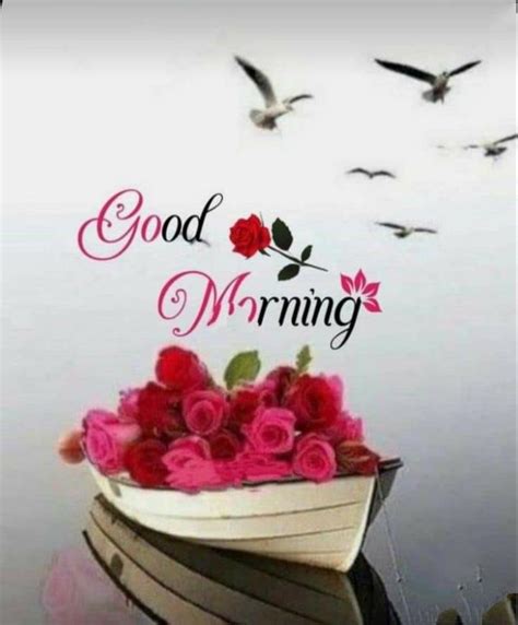 🌤காலை வணக்கம் • Sharechat Photos And Videos