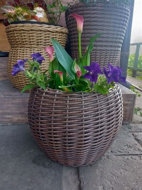 Кашпо ротанг колір фундук 12 л — ціна 450 грн у каталозі Кашпо Купити товари для дому та побуту