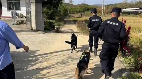 八旬老人走失48小时警民协作找回 所有人 澎湃新闻 The Paper