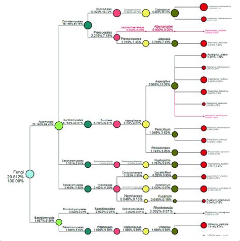 Species Classification Tree The Circles Of Different Colors Indicate
