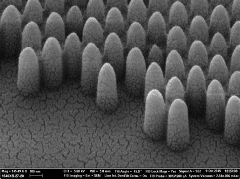 Nature Inspired Nano Structures Mean No More Cleaning Windows Plus Energy Saving
