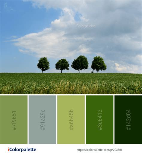 Color Palette Ideas From 4804 Tree Images