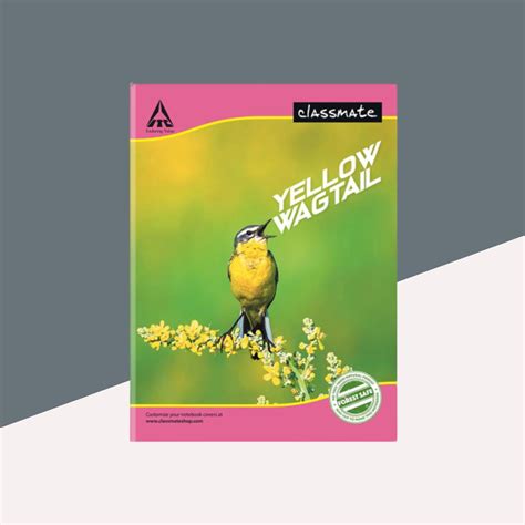 Classmate Four Line Notebook 120 Pages 1 Pcs Topperskit Llp