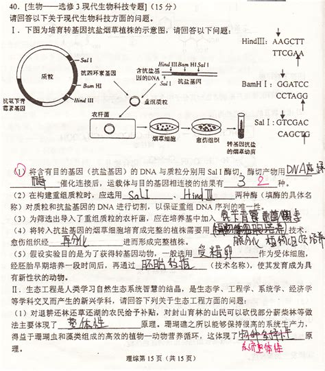 基因工程知识点框架图 基因工知识点树状图 细胞工知识框架图 大山谷图库